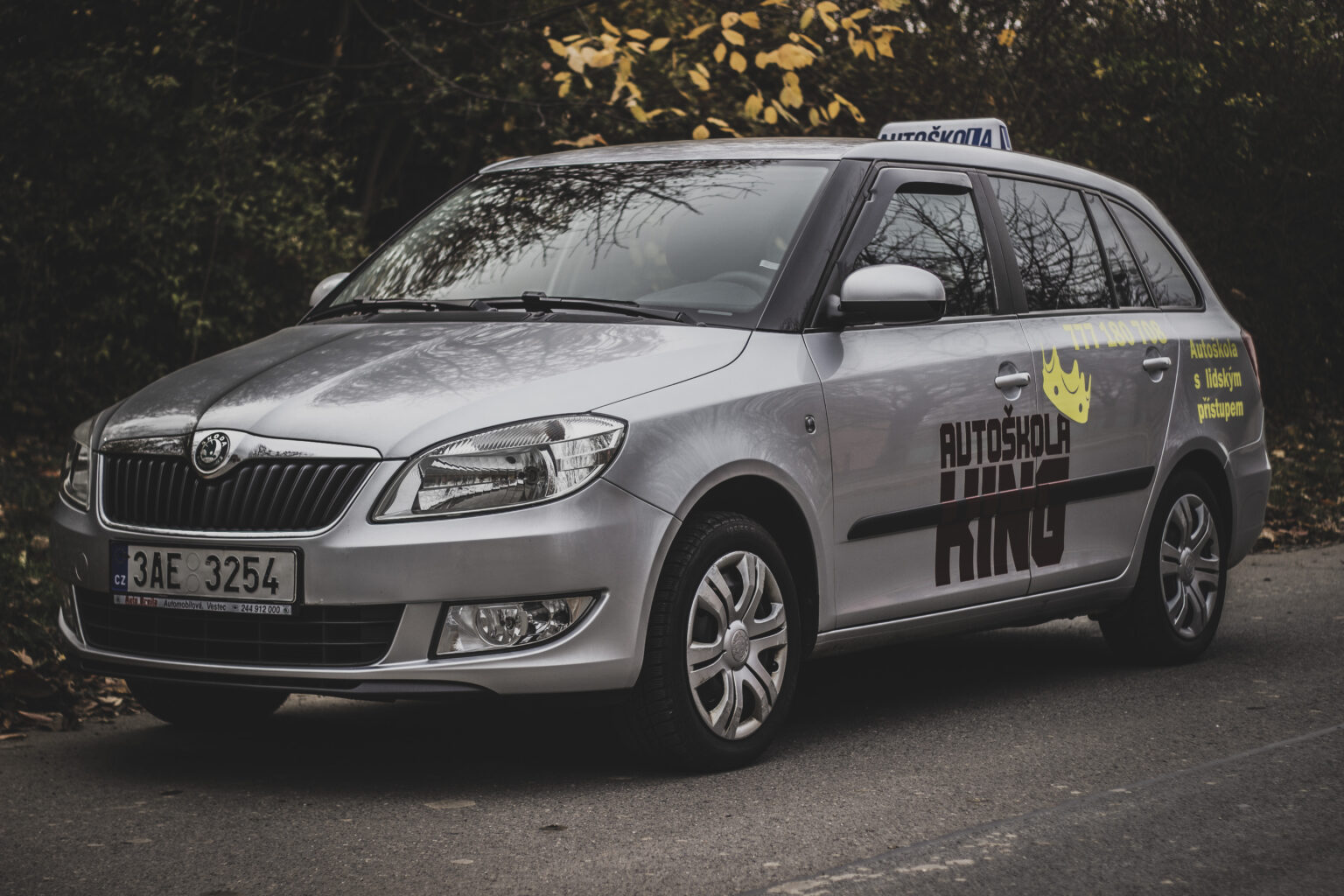 Exchange of a foreign driver’s licence